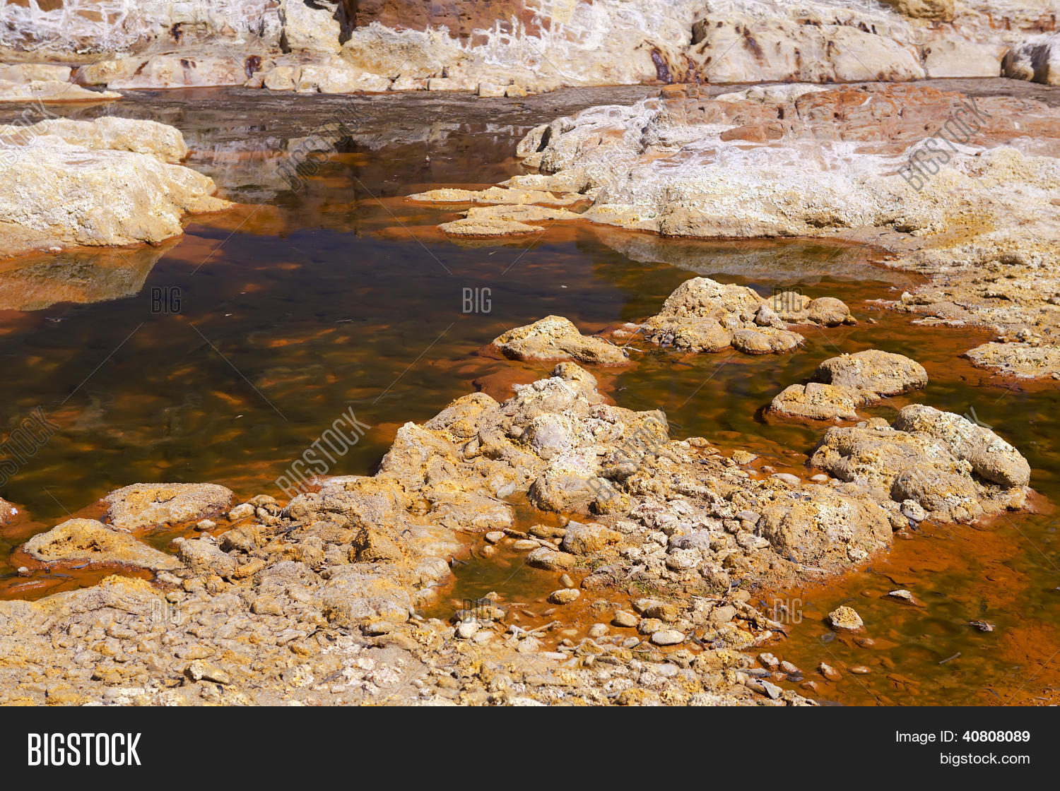 Acidic Orange Rio ( Image & Photo (Free Trial) | Bigstock