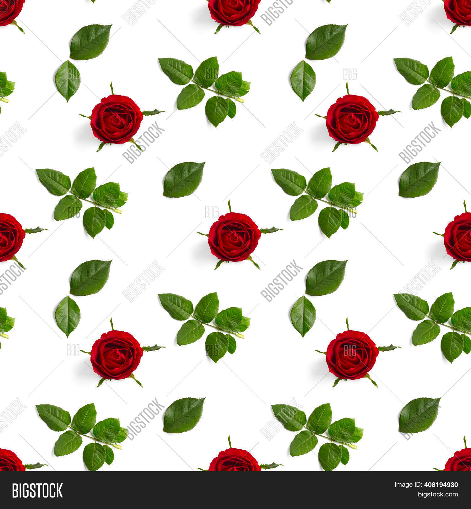 Rosebud Seamless Image & Photo (Free Trial) | Bigstock