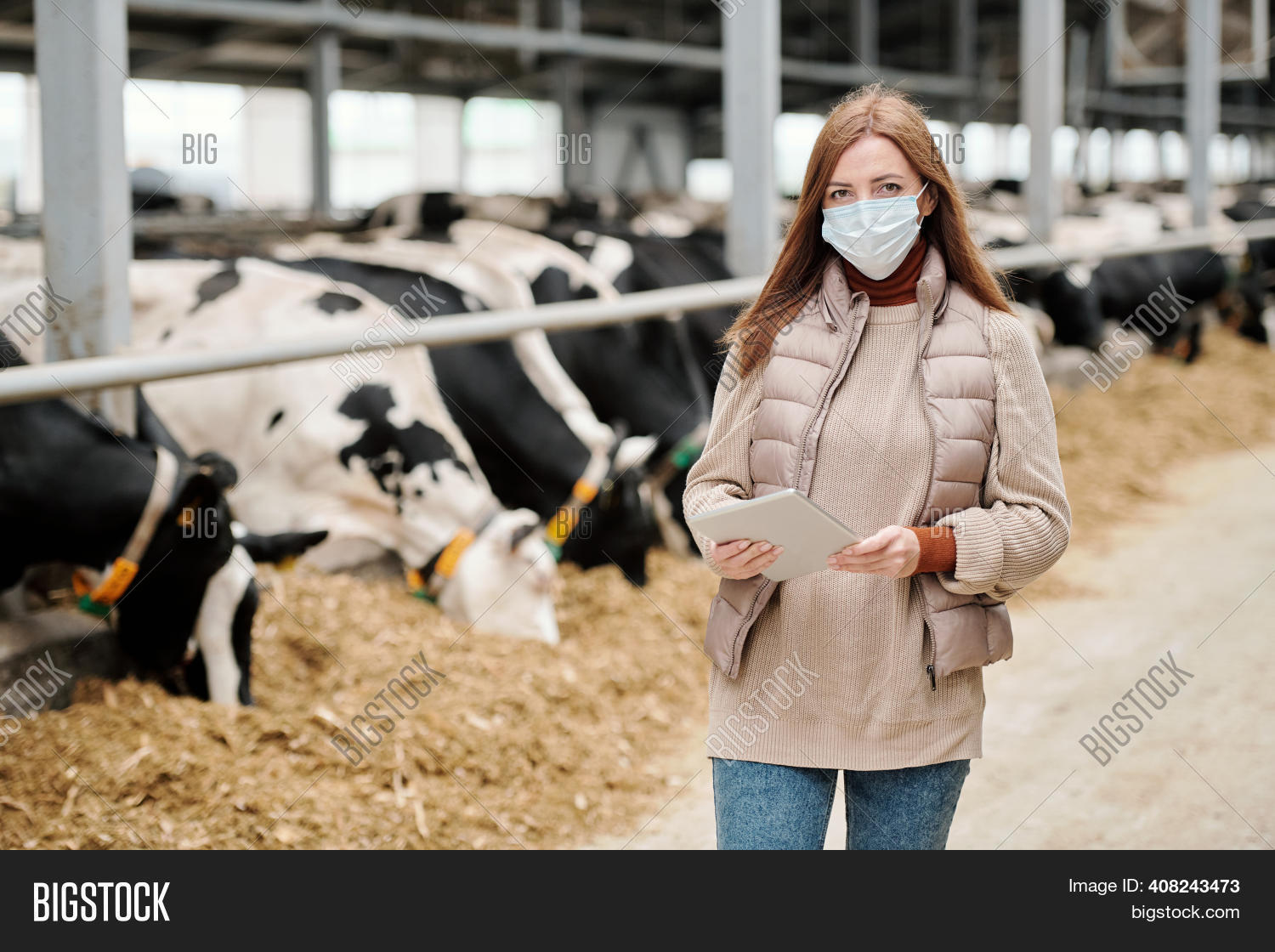 Female Worker Animal Image & Photo (Free Trial) | Bigstock