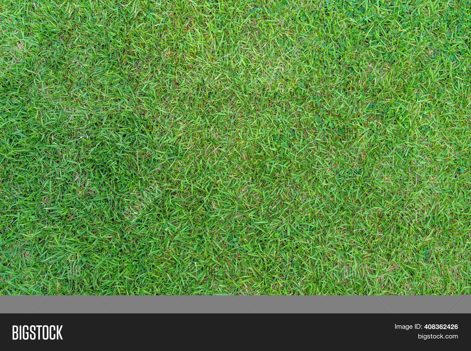 Green Grass Texture Image & Photo (Free Trial) | Bigstock