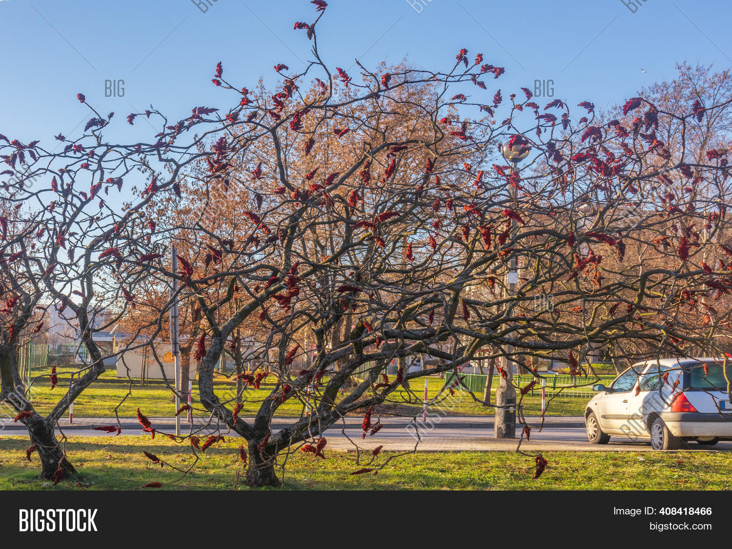 Poland Krakow, Autumn Image & Photo (Free Trial) | Bigstock