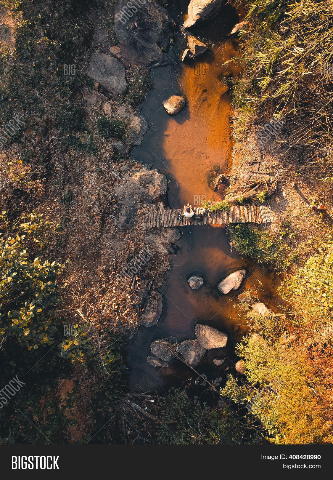 Stream Rocks Tropical Image & Photo (Free Trial) | Bigstock