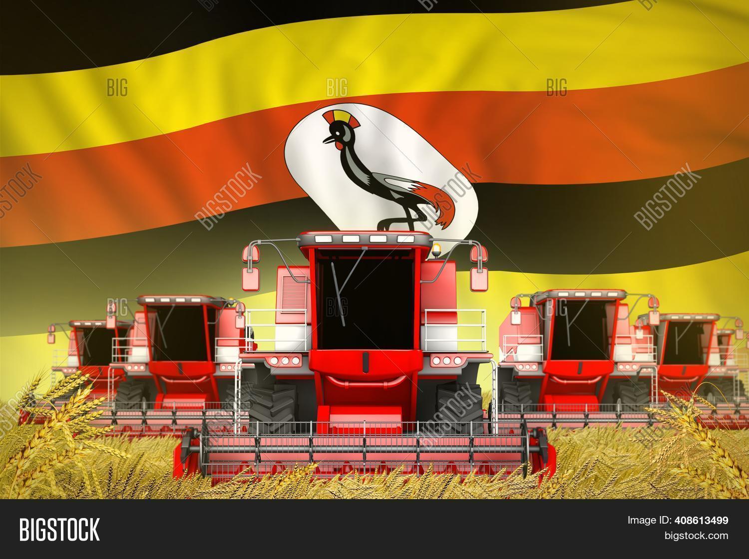 Red Farming Combine Image & Photo (Free Trial) | Bigstock