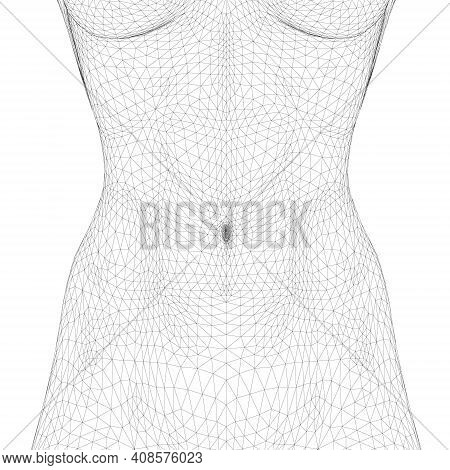 Wireframe Sports Girl Vector & Photo (Free Trial) | Bigstock