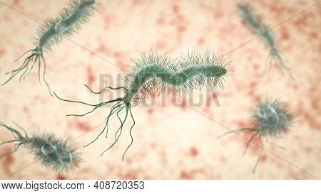 Helicobacter Pylori, Image & Photo (Free Trial) | Bigstock