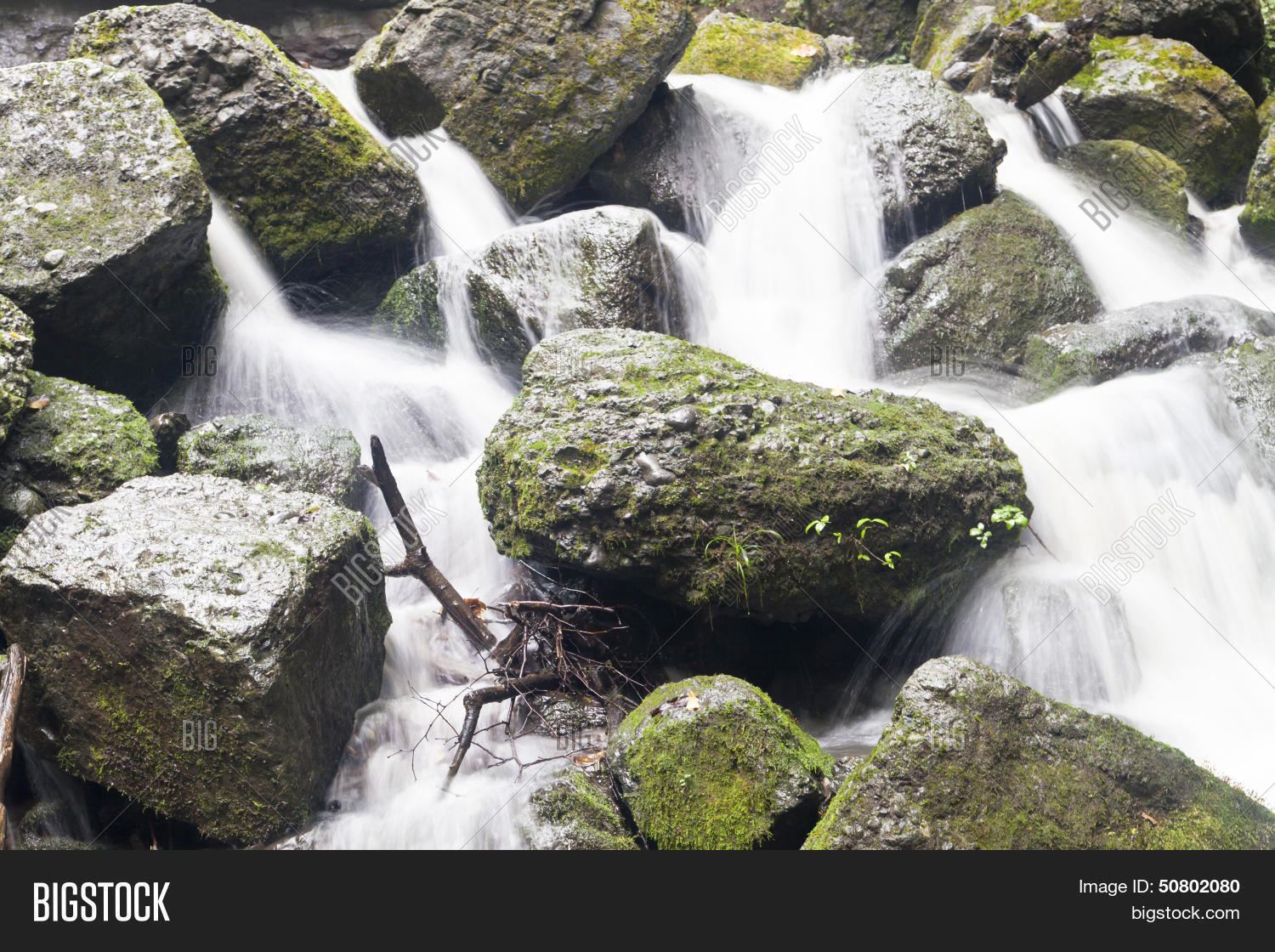 Falls Wood Image & Photo (Free Trial) | Bigstock