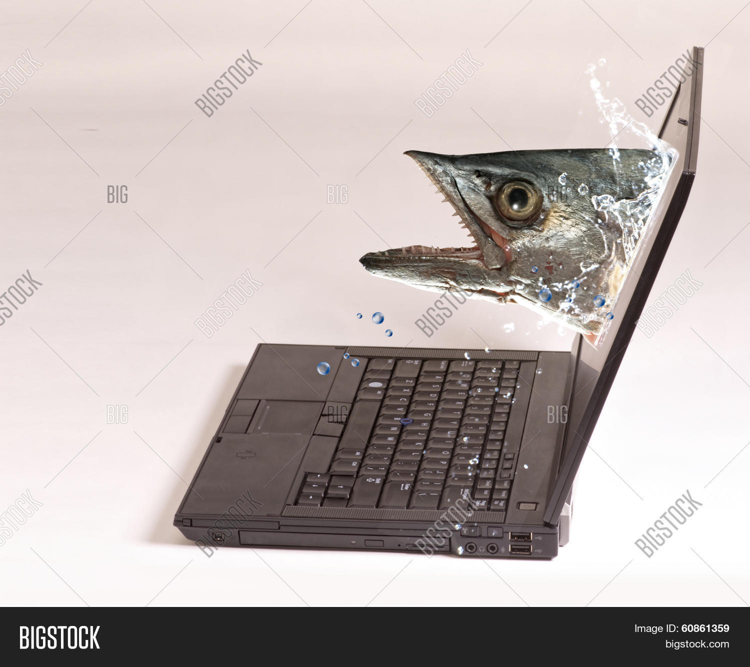 Computer Fishing Image & Photo (Free Trial) | Bigstock