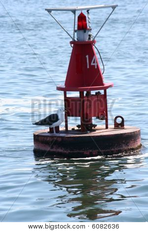 Water Booey Image & Photo (Free Trial) | Bigstock