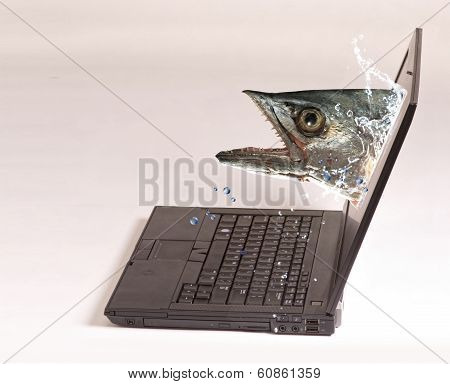 Computer Fishing Image & Photo (Free Trial) | Bigstock