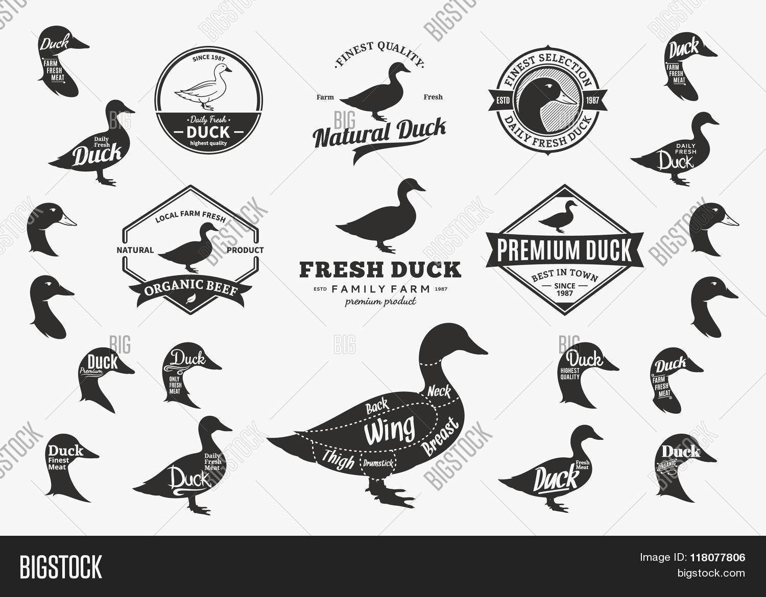 Duck Logo