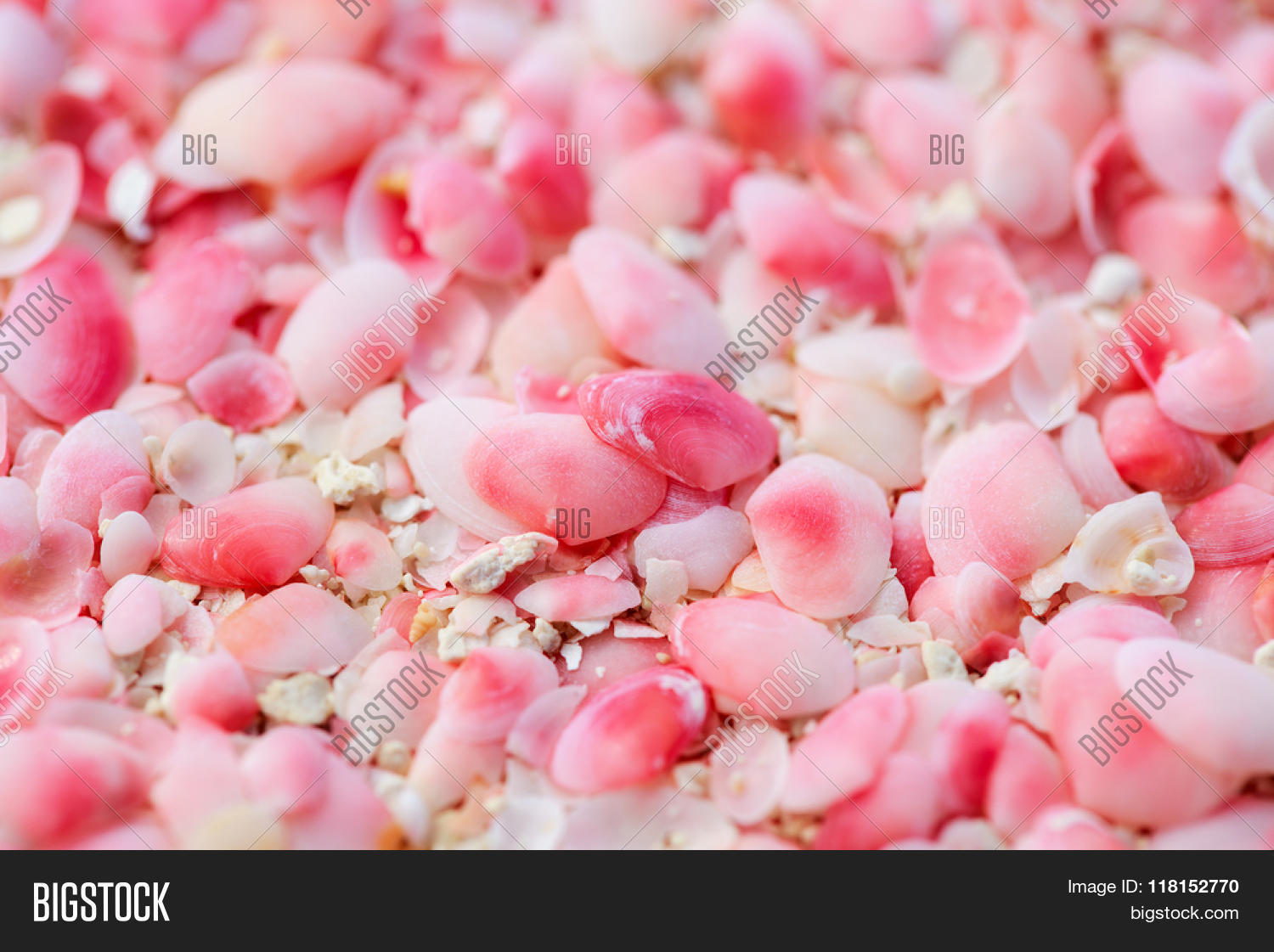 Pink Sand Beach On Image & Photo (Free Trial) | Bigstock