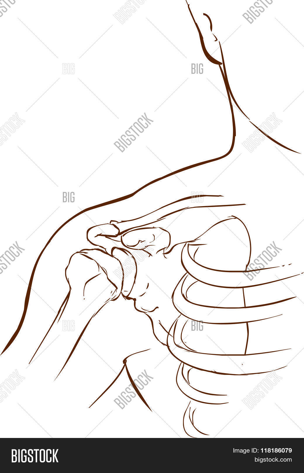 White Background Vector & Photo (Free Trial) | Bigstock