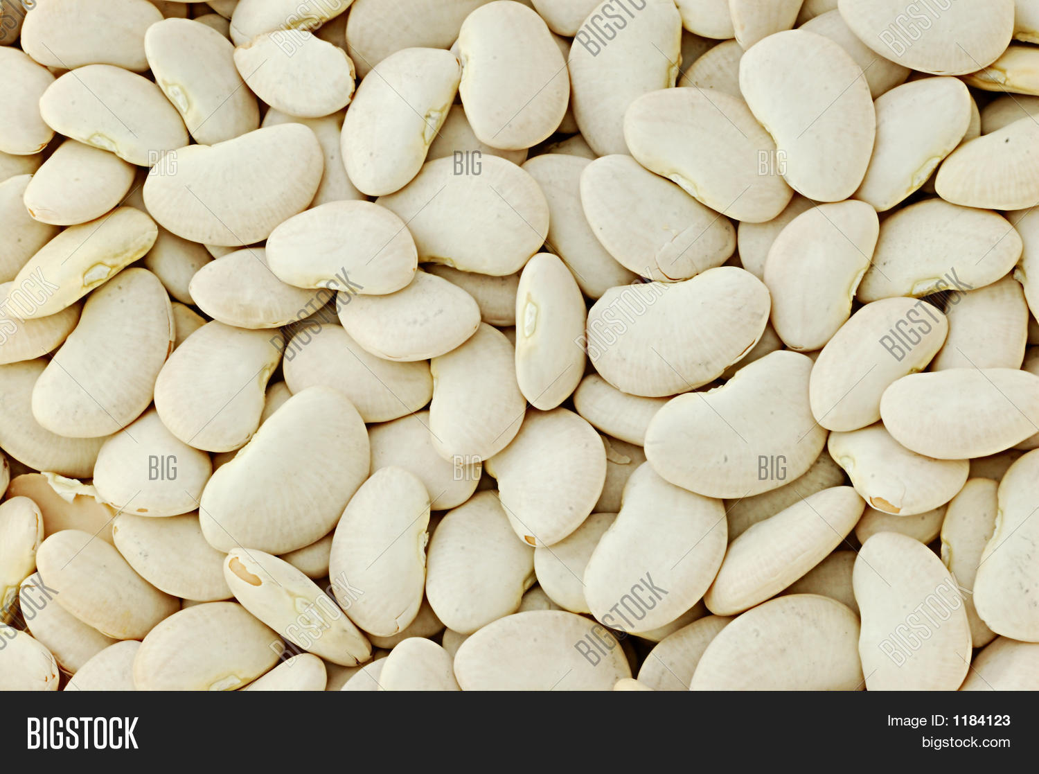 Butterbean Background Image & Photo (Free Trial) | Bigstock