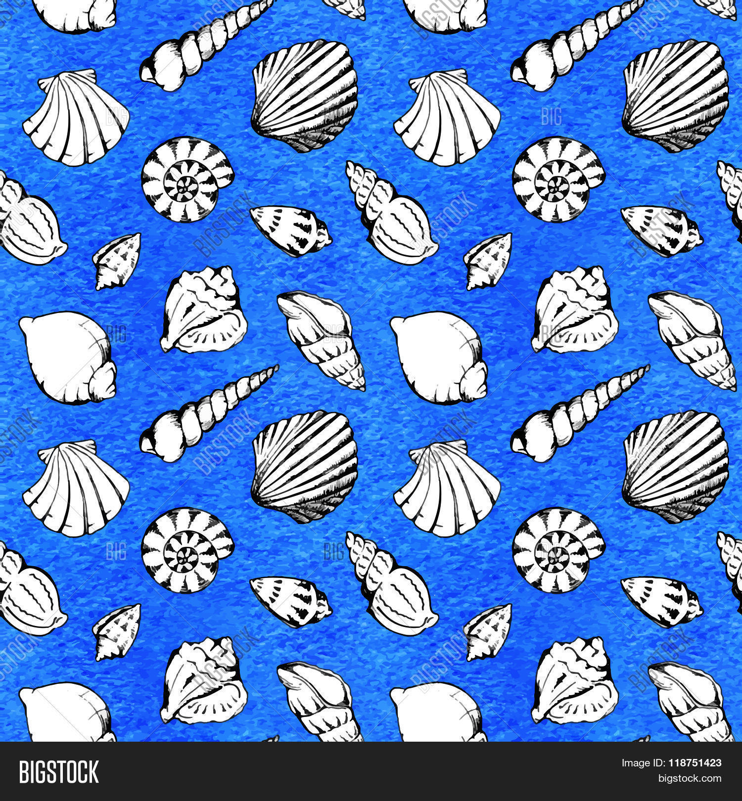 Monochrome Sea Shells Vector & Photo (Free Trial) | Bigstock