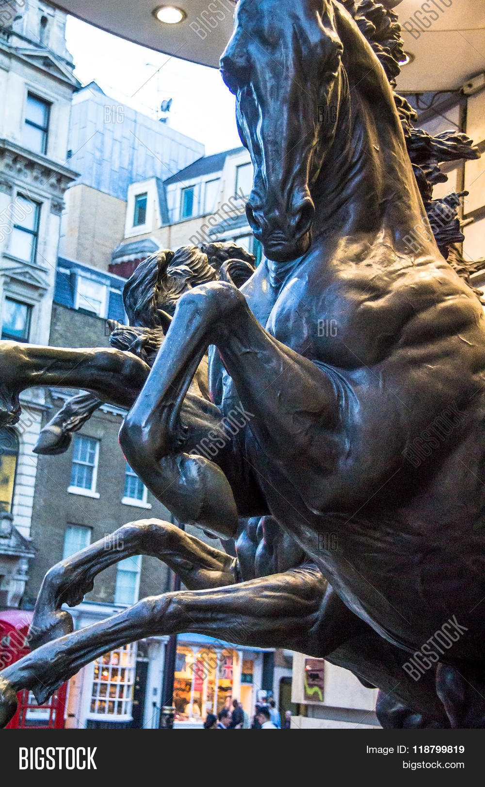 Popular Horses Helios Image & Photo (Free Trial) | Bigstock