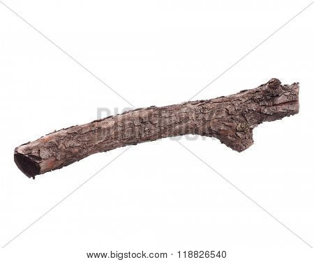 Single Dry Tree Branch Image & Photo (Free Trial) | Bigstock