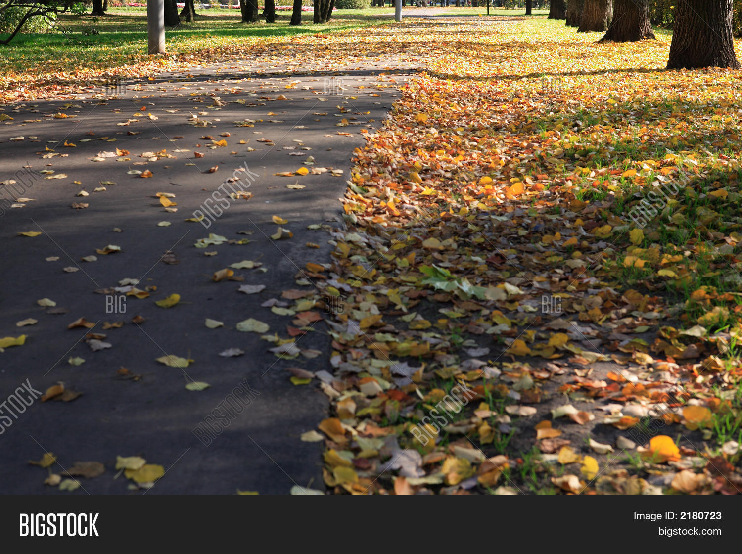 Road Autumn Image & Photo (Free Trial) | Bigstock