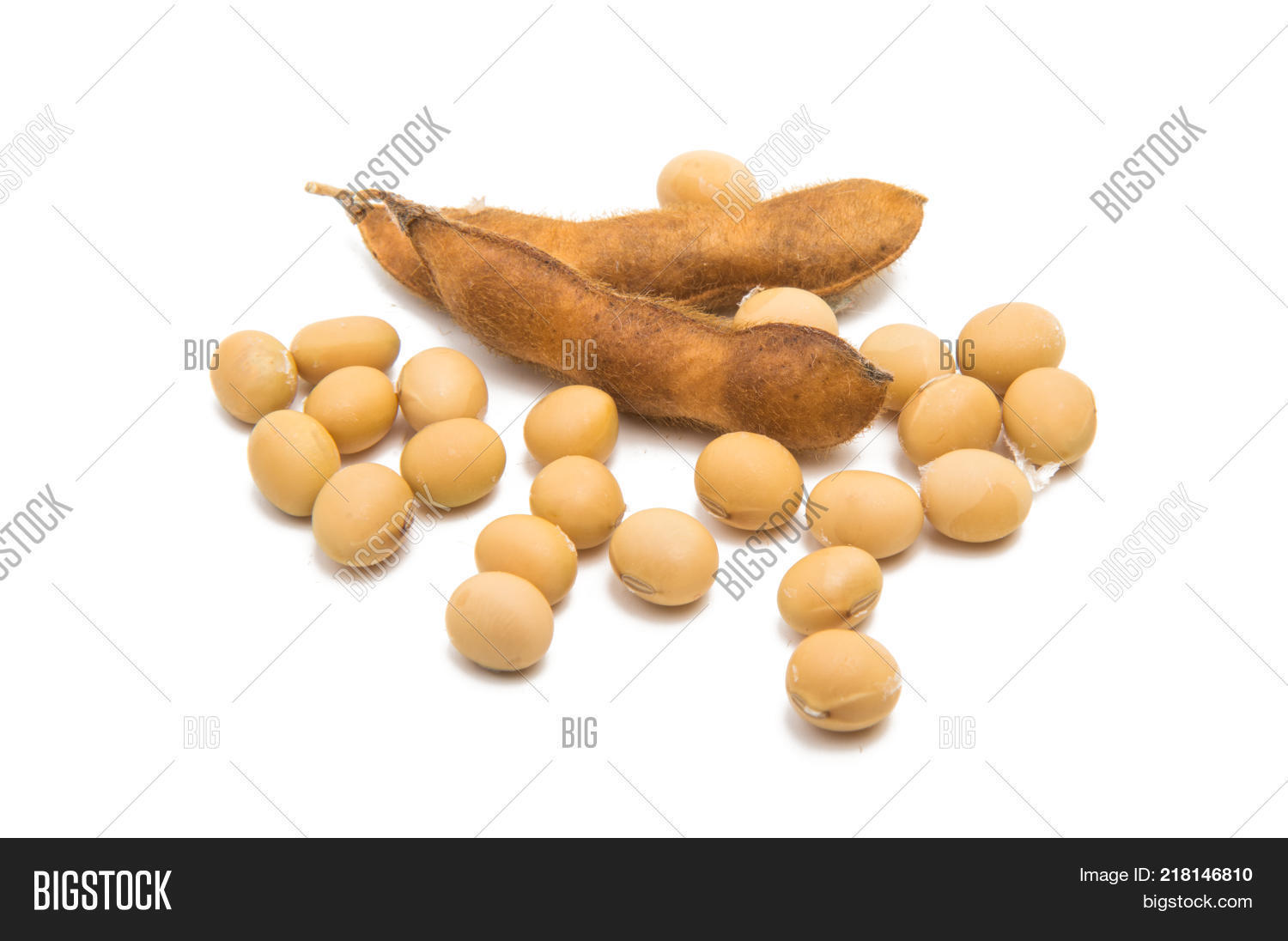 Dry Soy Beans Isolated Image & Photo (Free Trial) | Bigstock