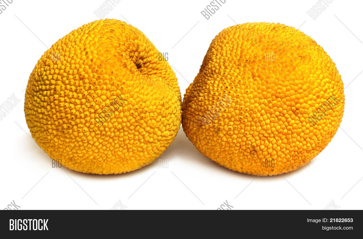 Small Jackfruit Known Image & Photo (Free Trial) | Bigstock