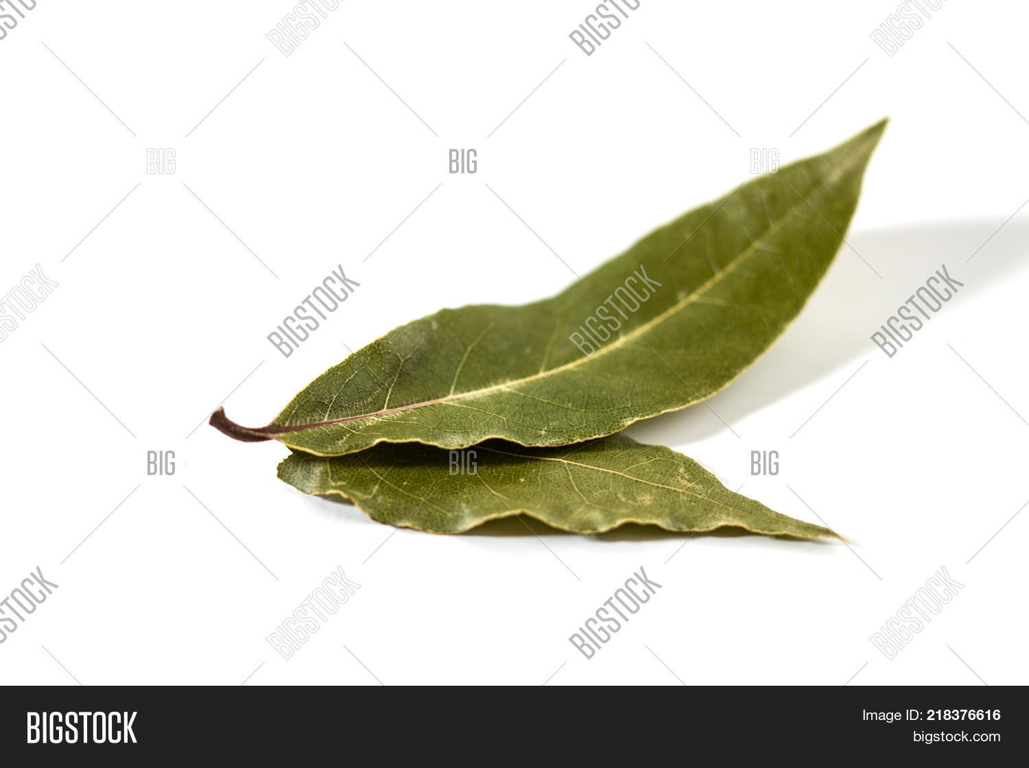 Bay Leaf Isolated On Image & Photo (Free Trial) | Bigstock