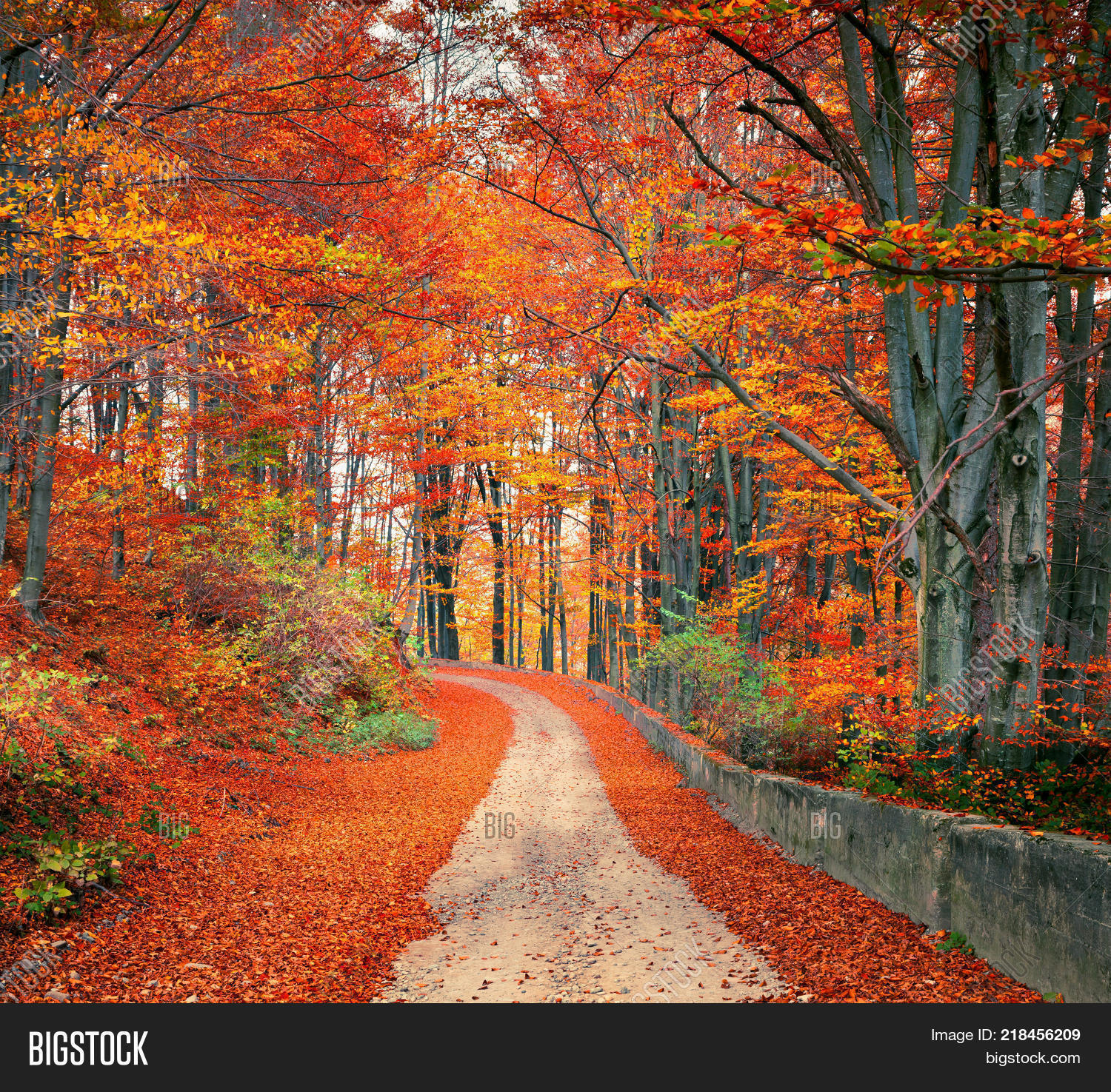 Colorful Autumn Csene Image & Photo (Free Trial) | Bigstock