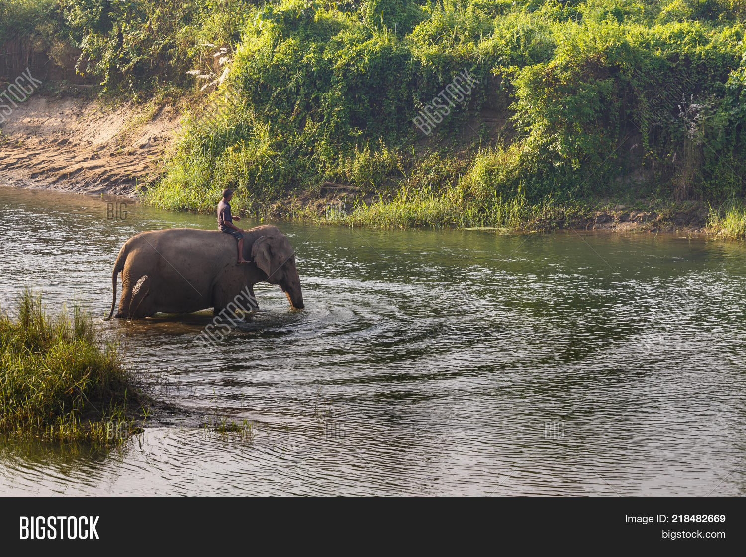 CHITWAN NEPAL - Image & Photo (Free Trial) | Bigstock