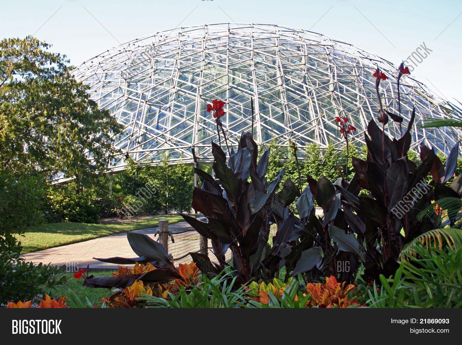 Missouri Botanical Image & Photo (Free Trial) | Bigstock