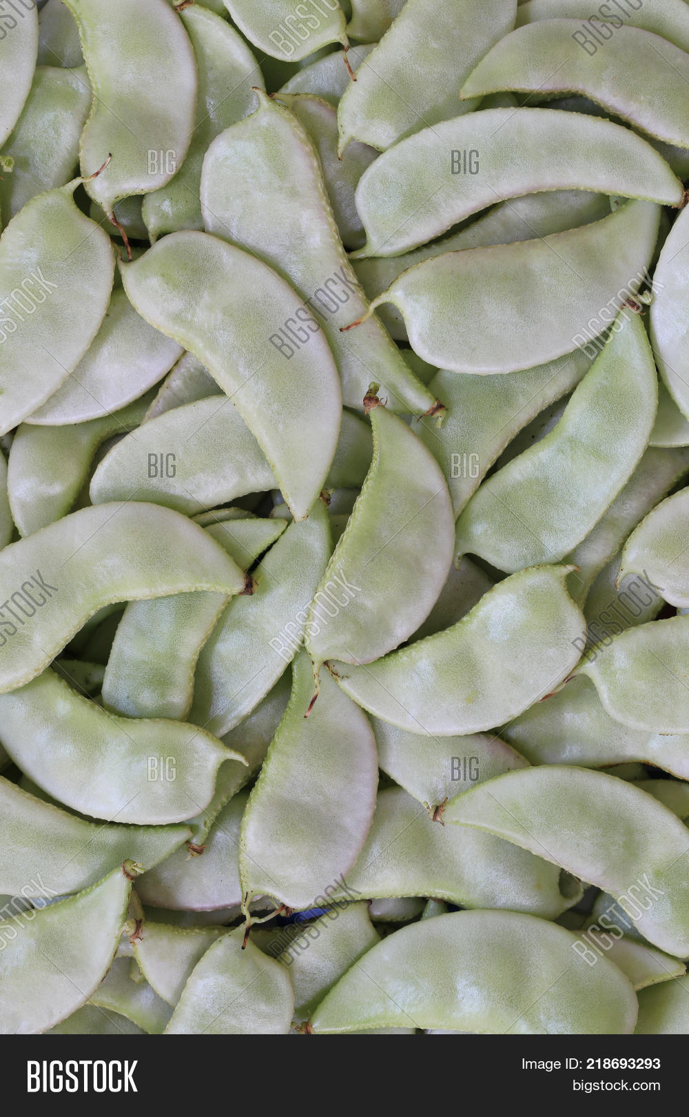 Dolichos Lablab Image & Photo (Free Trial) | Bigstock