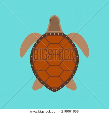 Color Simple Turtle Vector & Photo (Free Trial) | Bigstock