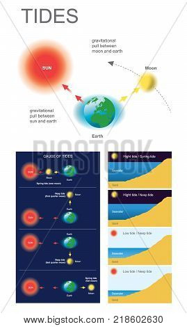 Tides Rise Fall Sea Image & Photo (Free Trial) | Bigstock