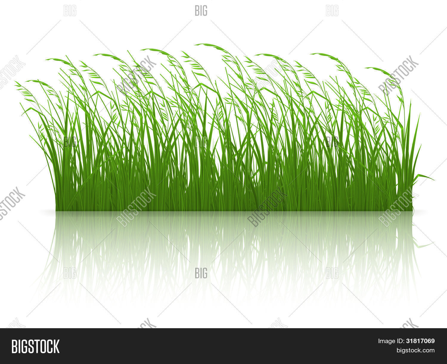Green Grass, Bitmap Image & Photo (Free Trial) | Bigstock
