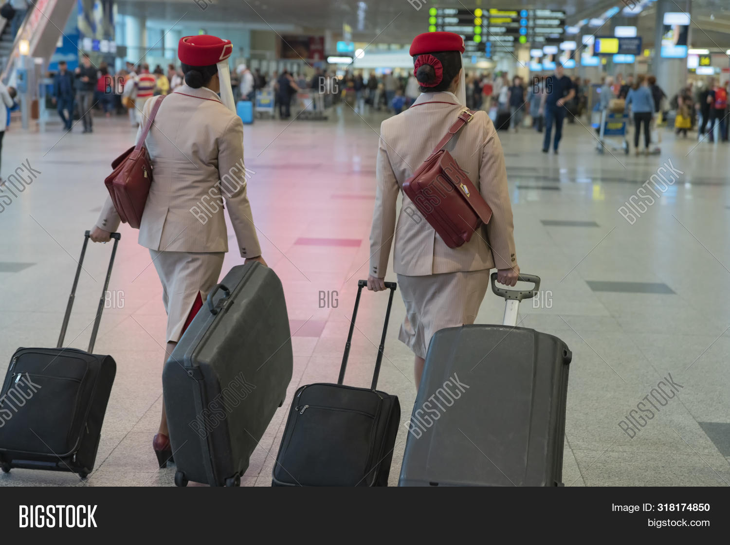 Two Flight Attendants- Image & Photo (Free Trial) | Bigstock