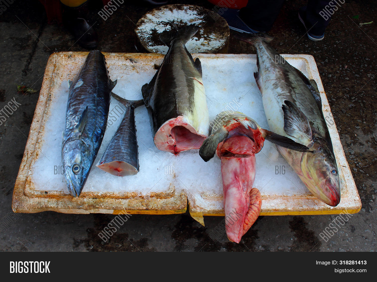 Freshness Fish Head Image & Photo (Free Trial) | Bigstock