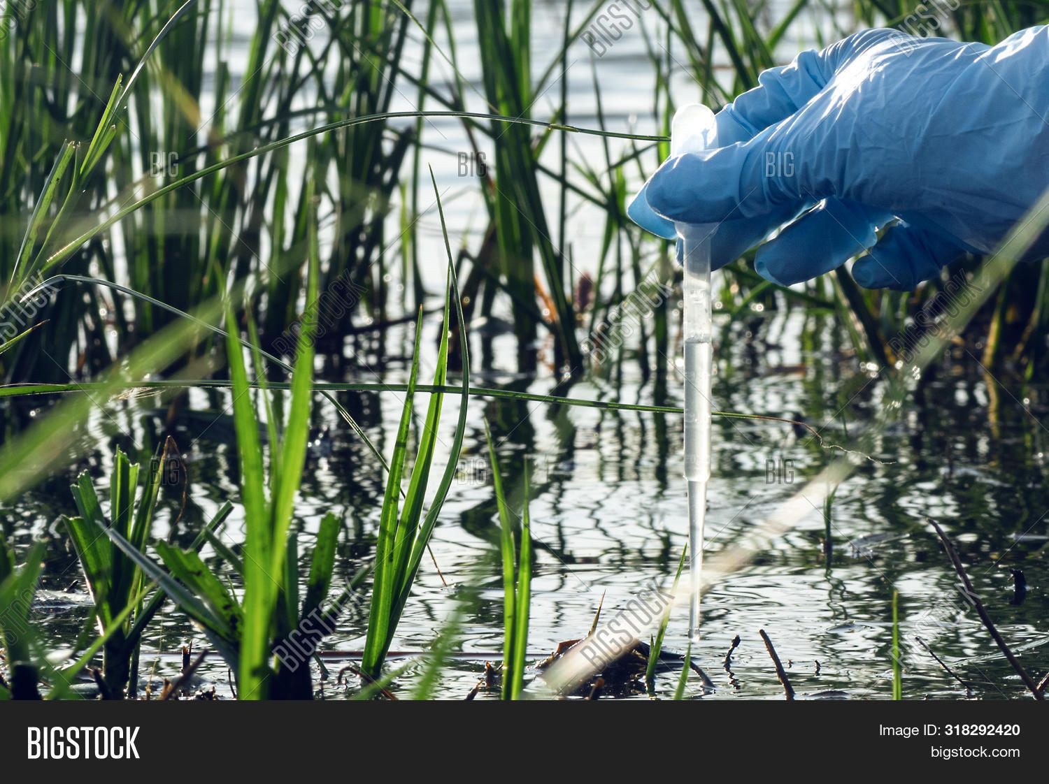 Water Pollution Image & Photo (Free Trial) | Bigstock