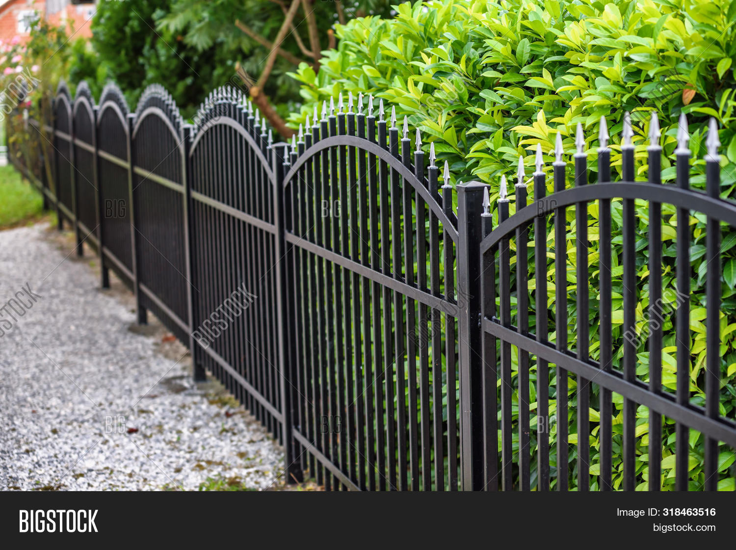 Iron Fence. Black Image & Photo (Free Trial) | Bigstock