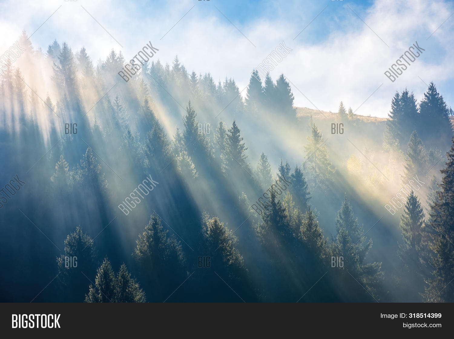 Sun Light Through Fog Image & Photo (Free Trial) | Bigstock
