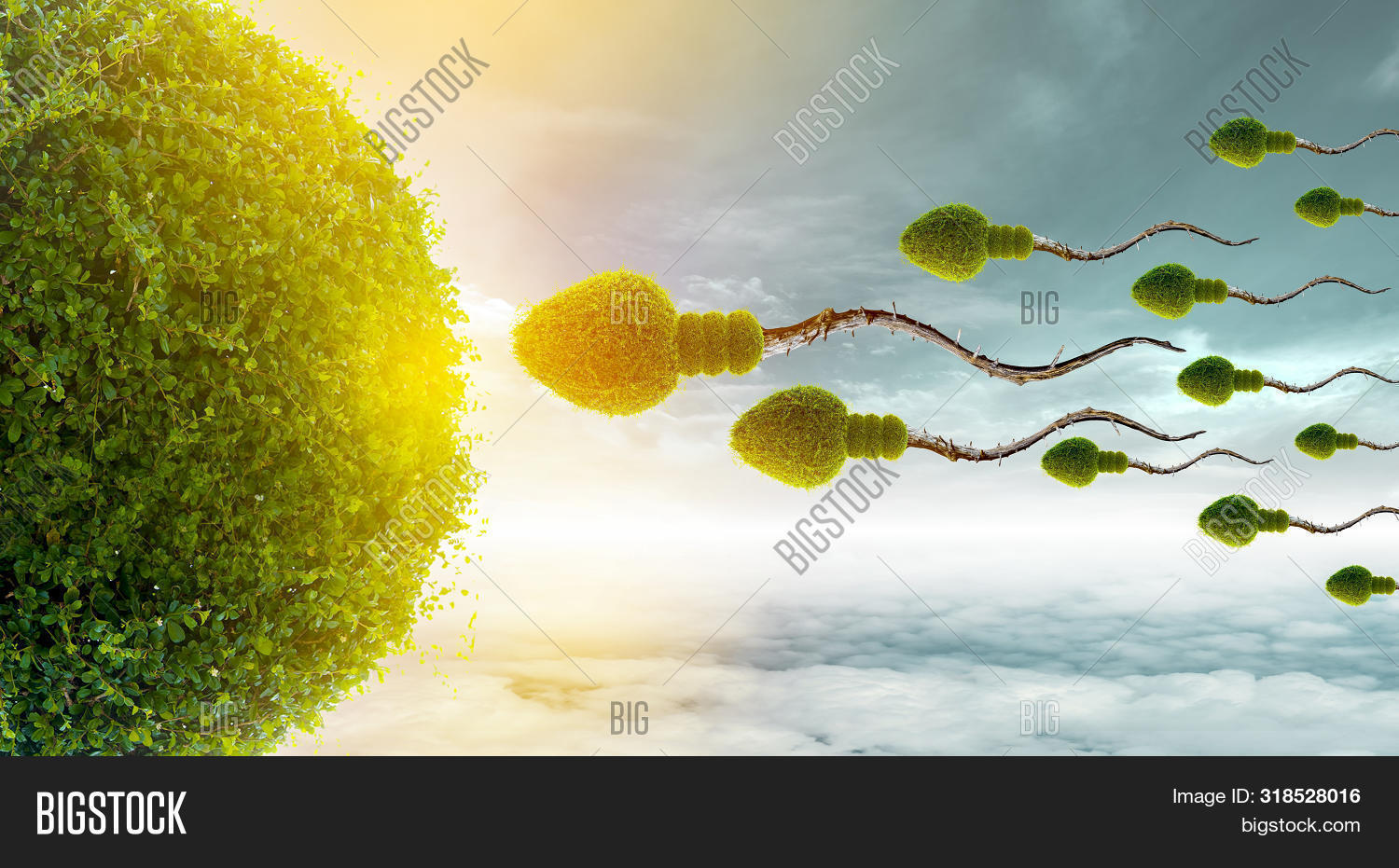 Sperm Human Semen, Image & Photo (Free Trial) | Bigstock