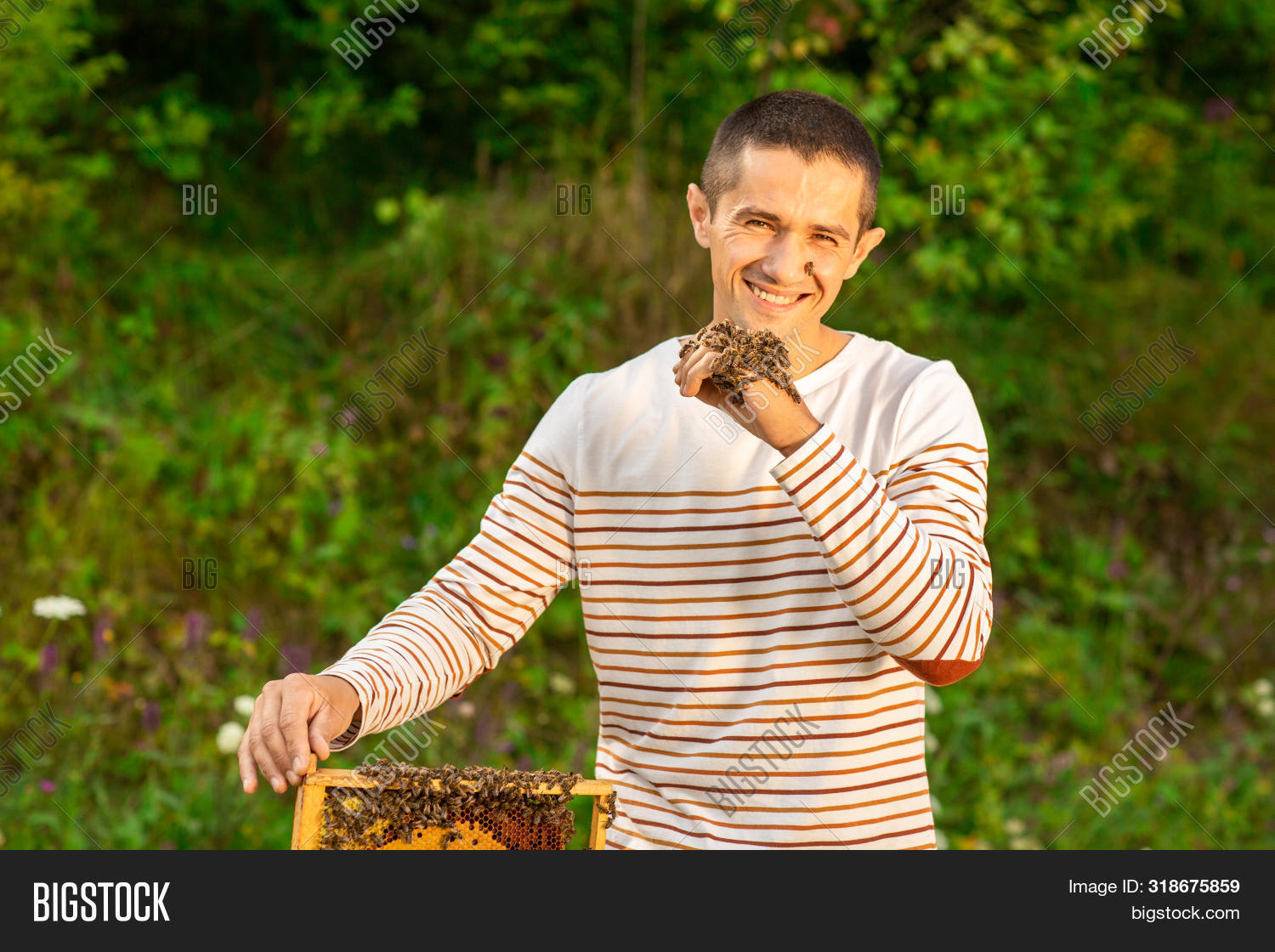 Happy Beekeeper Spends Image & Photo (Free Trial) | Bigstock