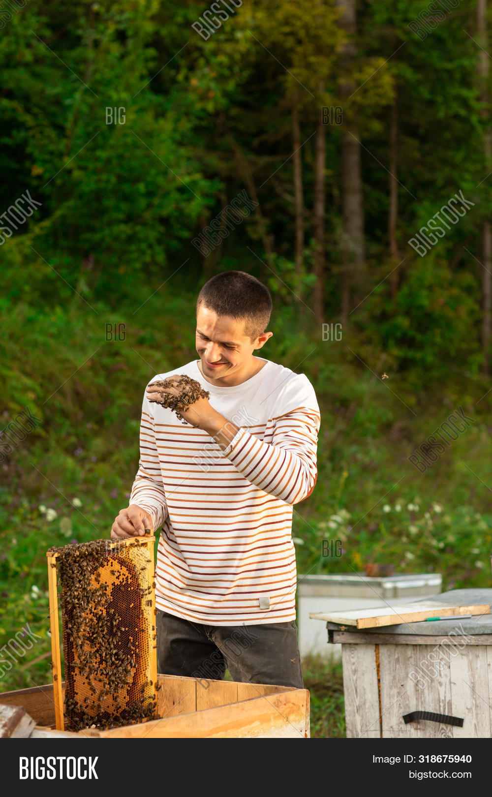 Happy Beekeeper Spends Image & Photo (Free Trial) | Bigstock