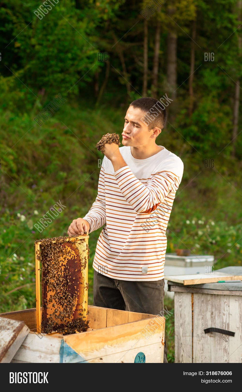 Cheerful Beekeeper Image & Photo (Free Trial) | Bigstock
