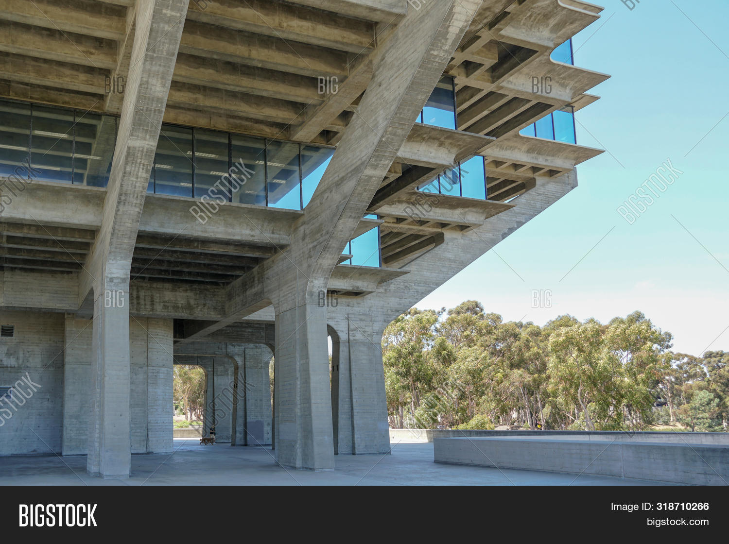 Geisel Library Main Image & Photo (Free Trial) | Bigstock