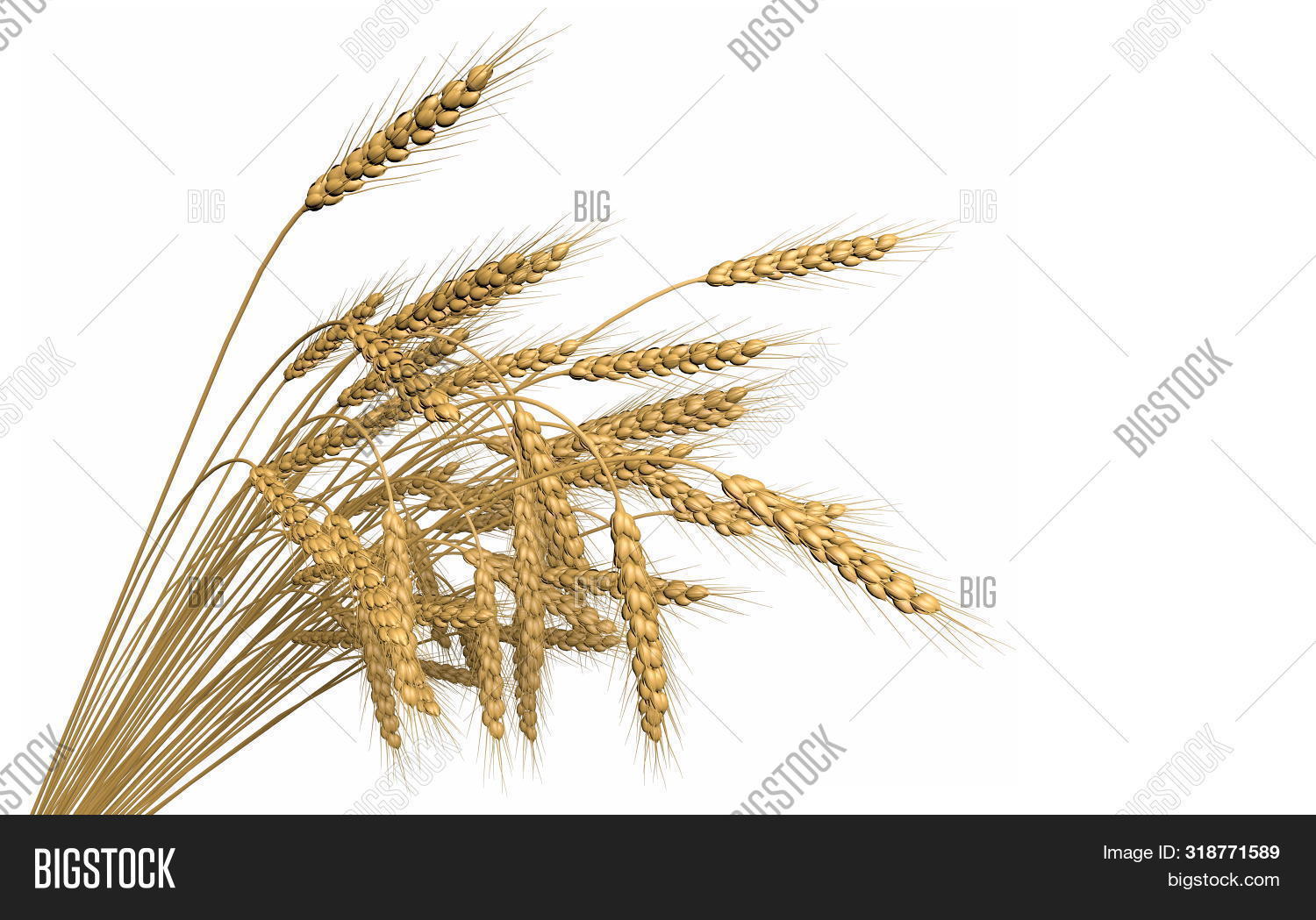 Rendered Bunch Wheat Image & Photo (Free Trial) | Bigstock