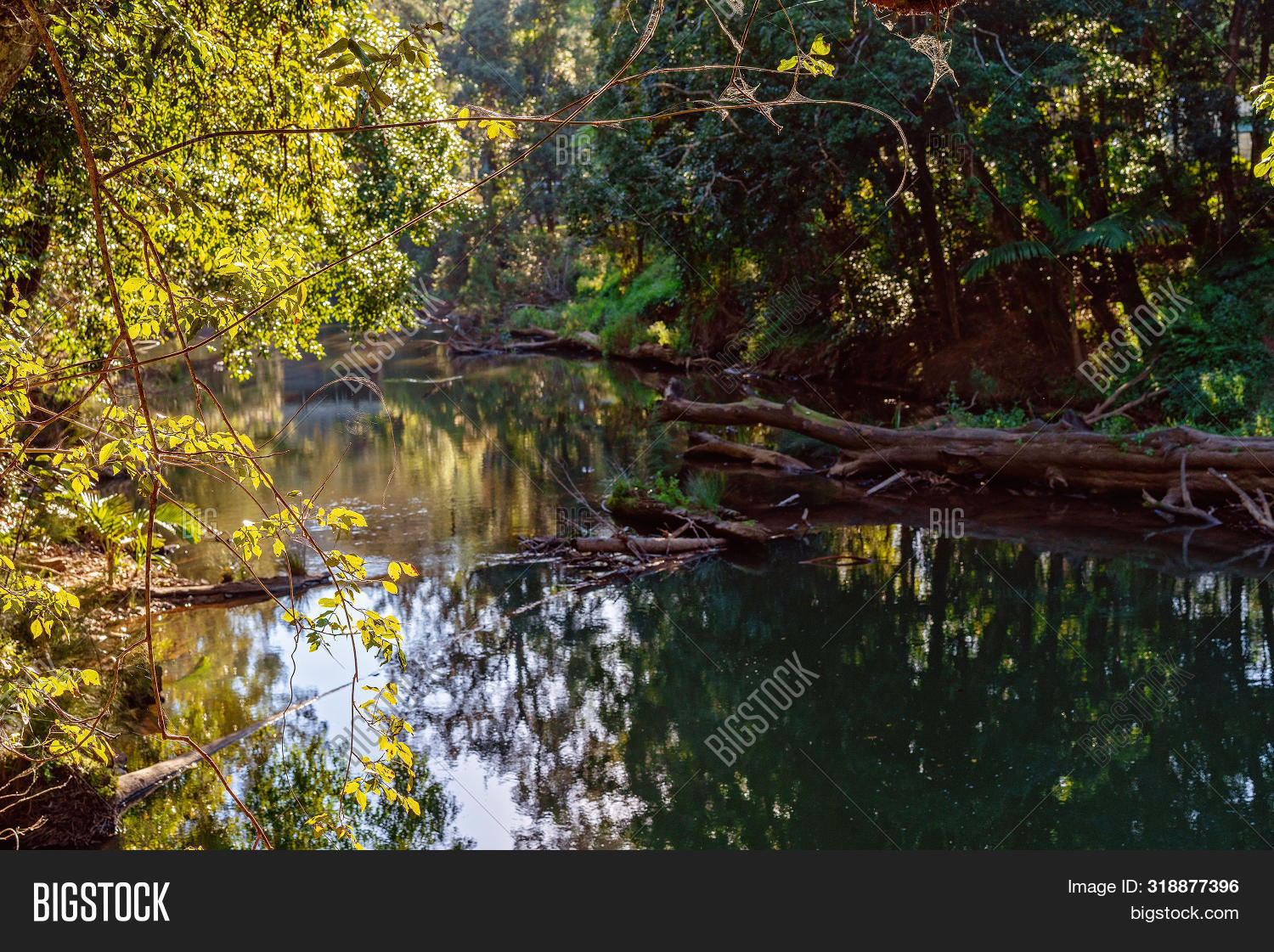 Calm Water Still River Image & Photo (Free Trial) | Bigstock