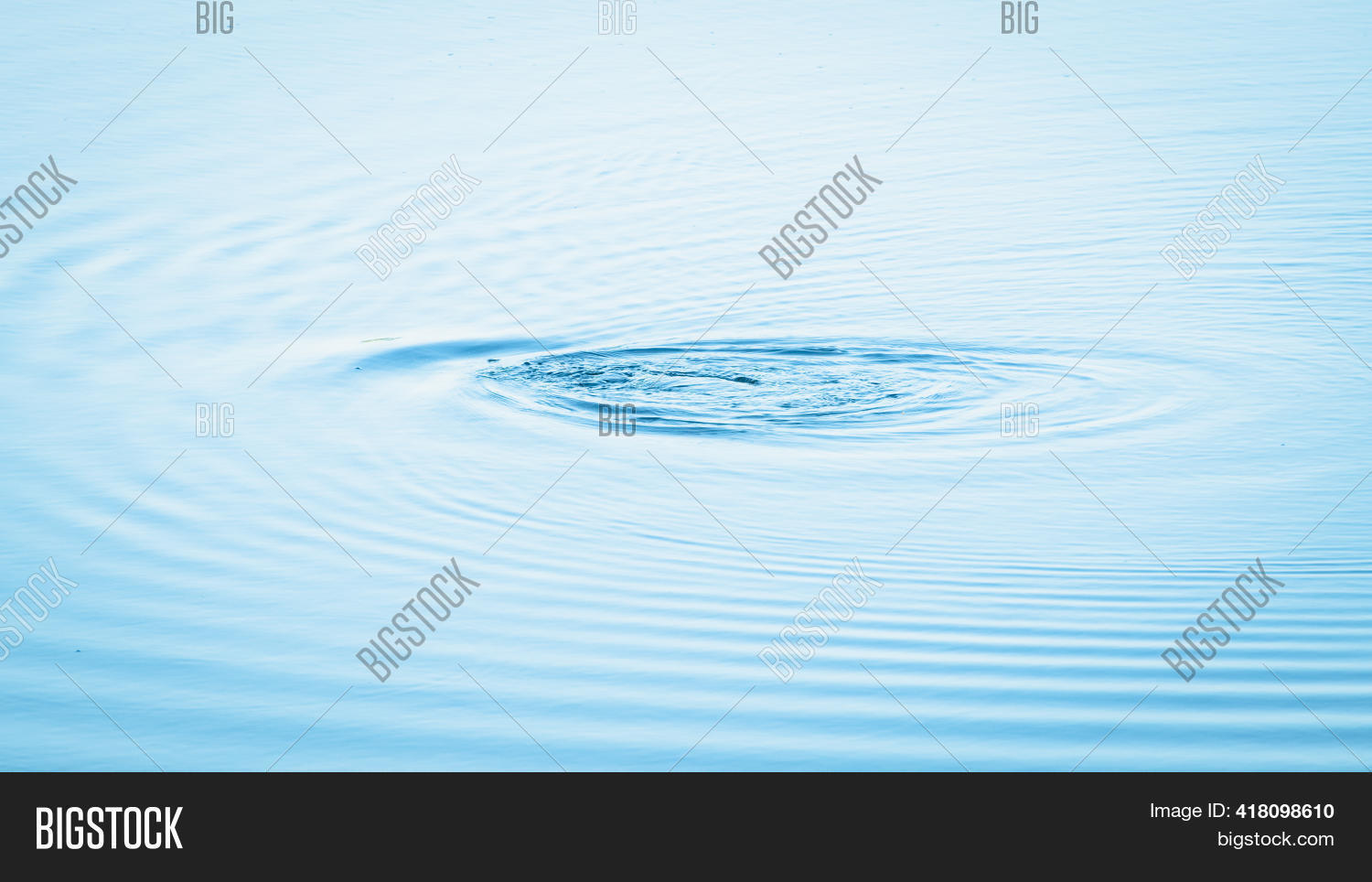 Bird Diving Lake Water Image & Photo (Free Trial) | Bigstock