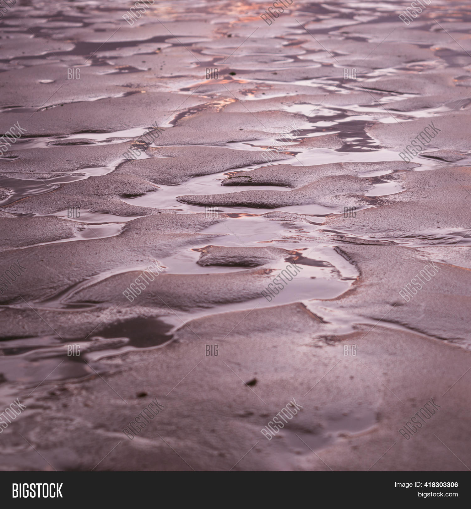 Wet Beach Water Image & Photo (Free Trial) | Bigstock