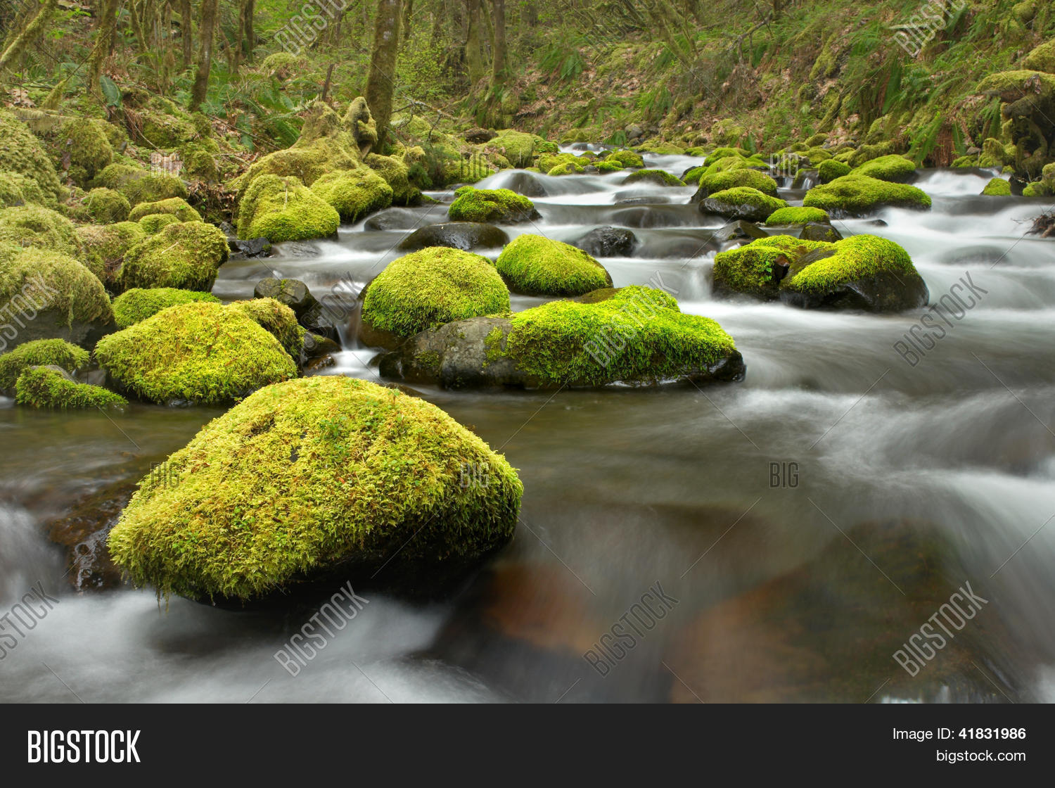 Mossy Rocks Creek Image & Photo (Free Trial) | Bigstock