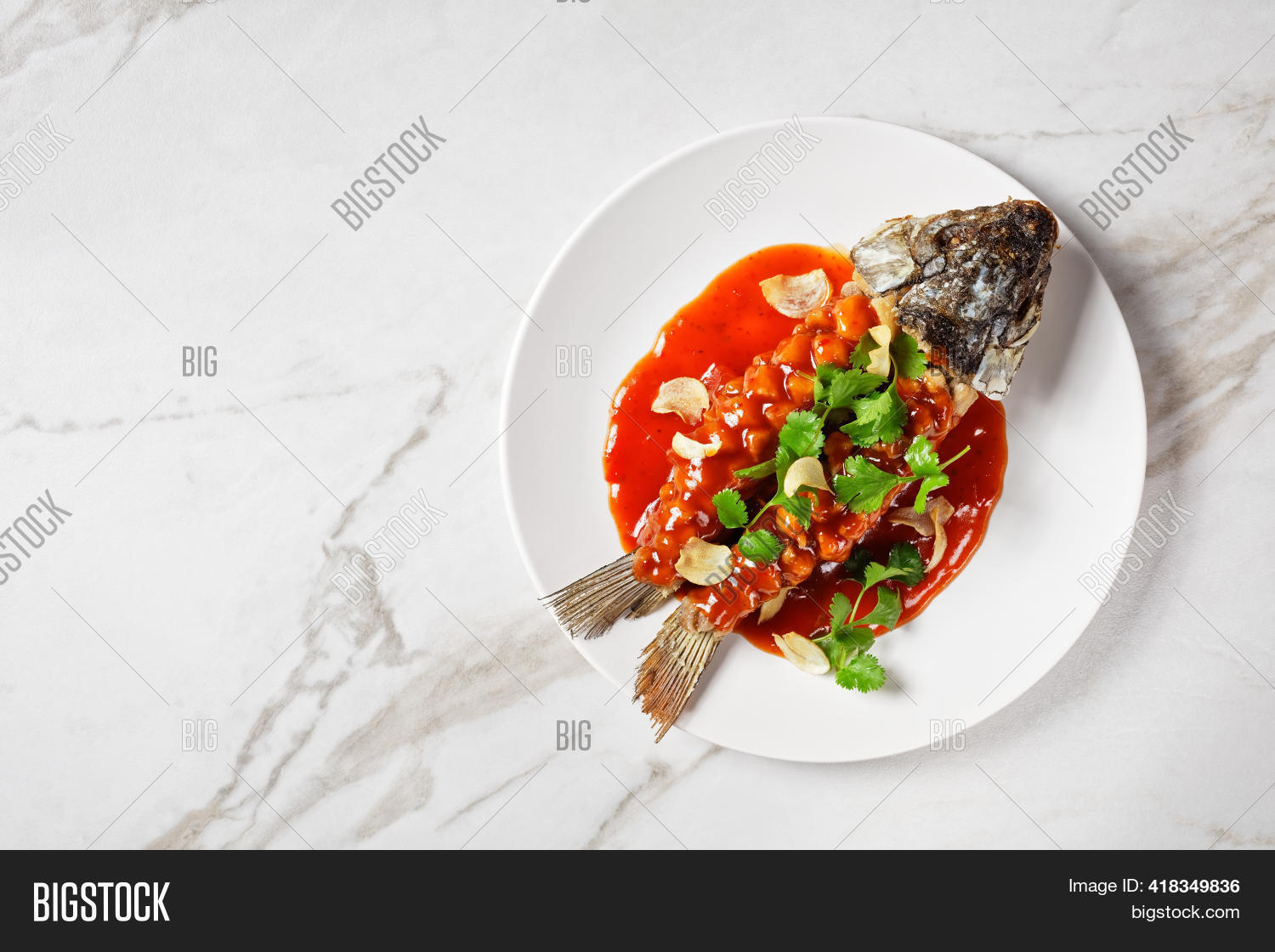Carp Squirrel Songshu Image & Photo (Free Trial) | Bigstock