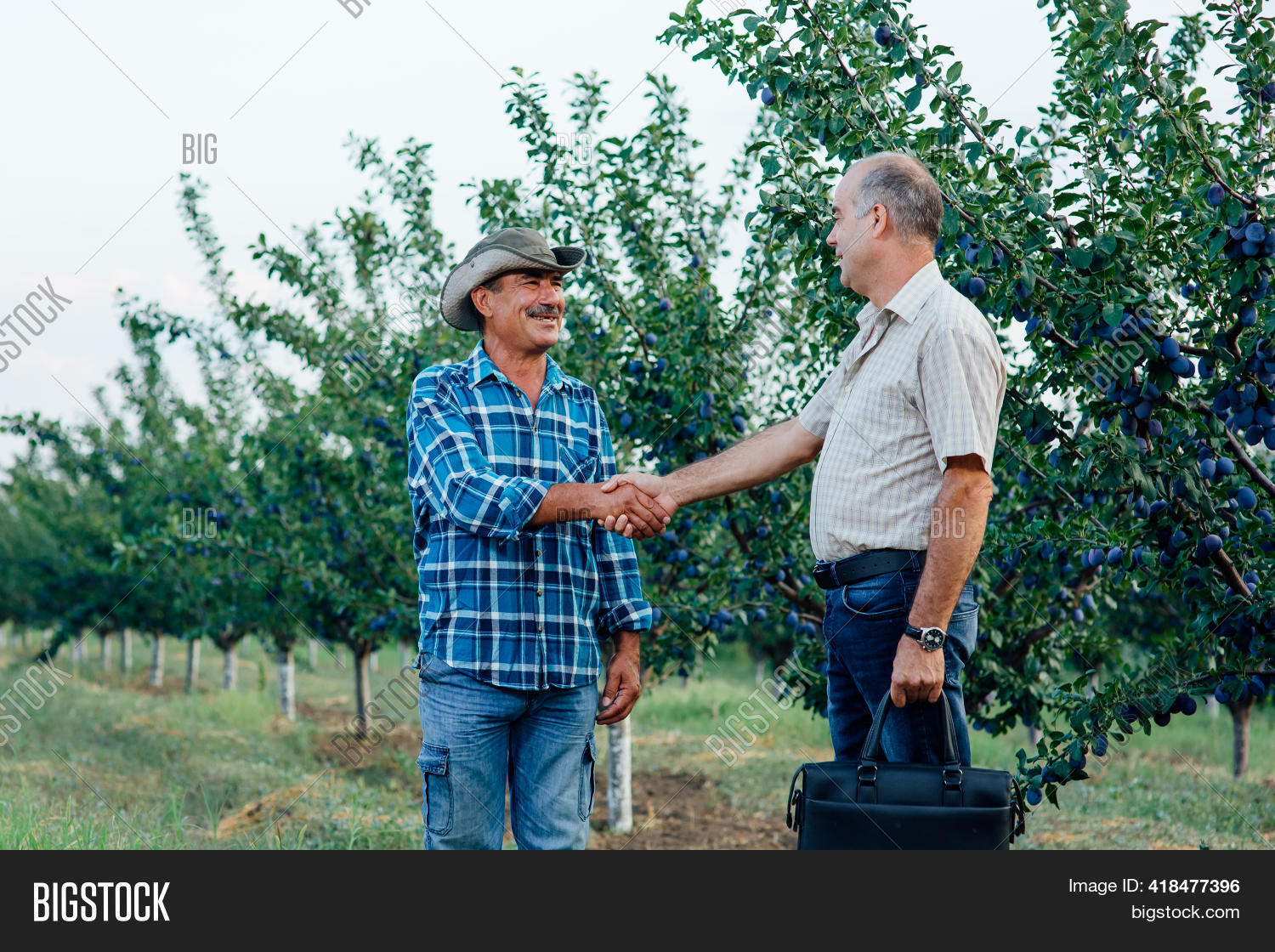 Handshake. Two Farmer Image & Photo (Free Trial) | Bigstock