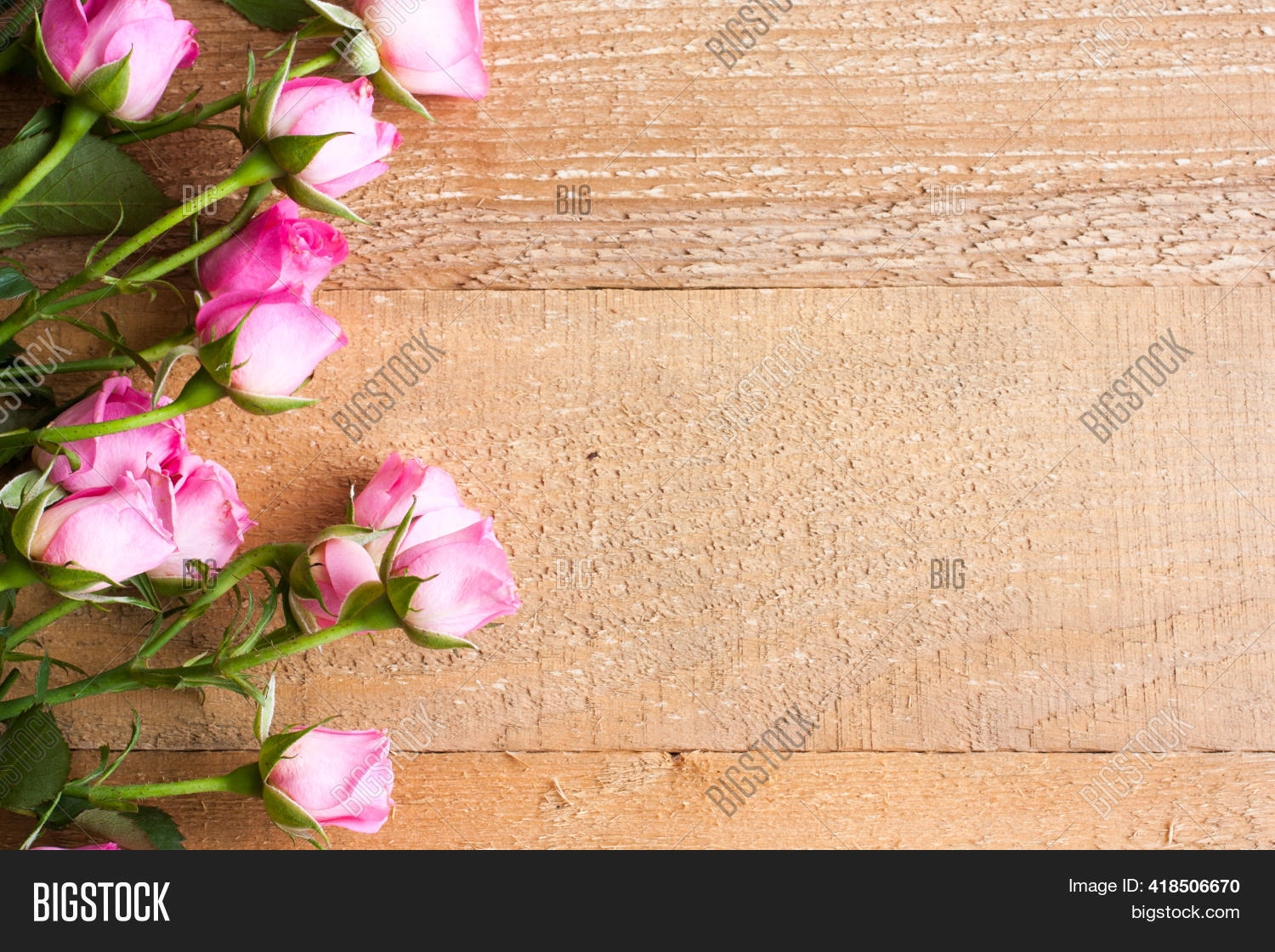 Small Pink Roses On Image & Photo (Free Trial) | Bigstock