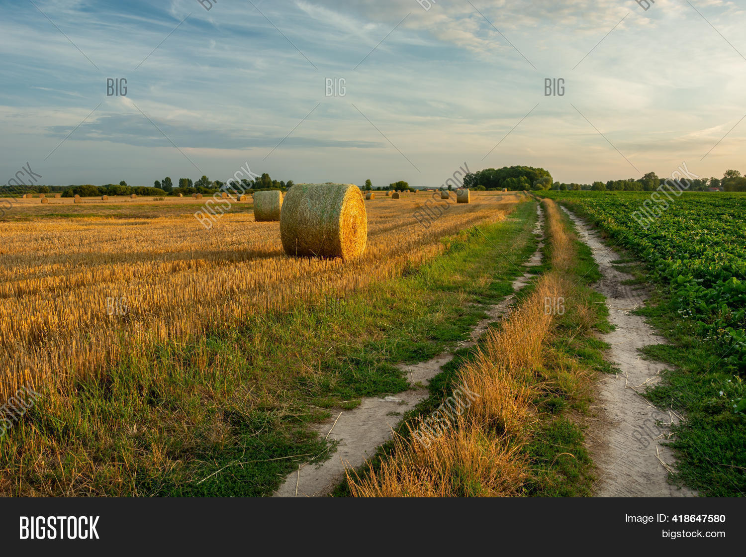 Dirt Road Hay Bales Image & Photo (Free Trial) | Bigstock
